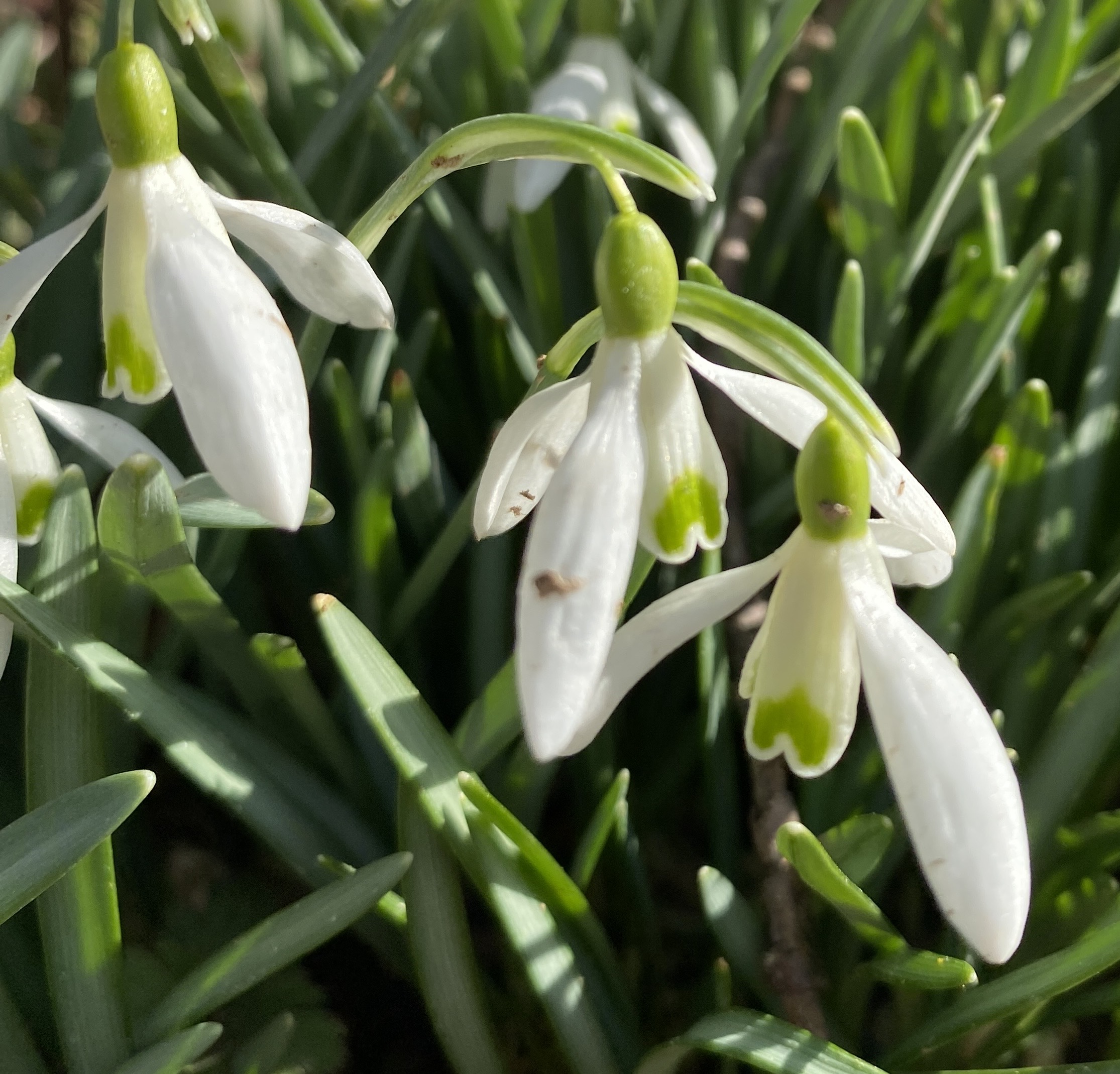 Simple Intuitive Exercise Insight Services Reiki Center